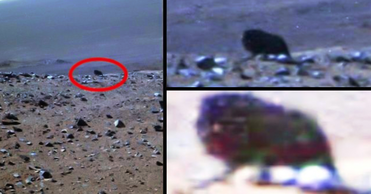 Four-Legged Dark Creature Was Spotted On Mars by NASA’s Rover