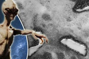 Herds of animals and forests on Mars? Researchers suggest it ...